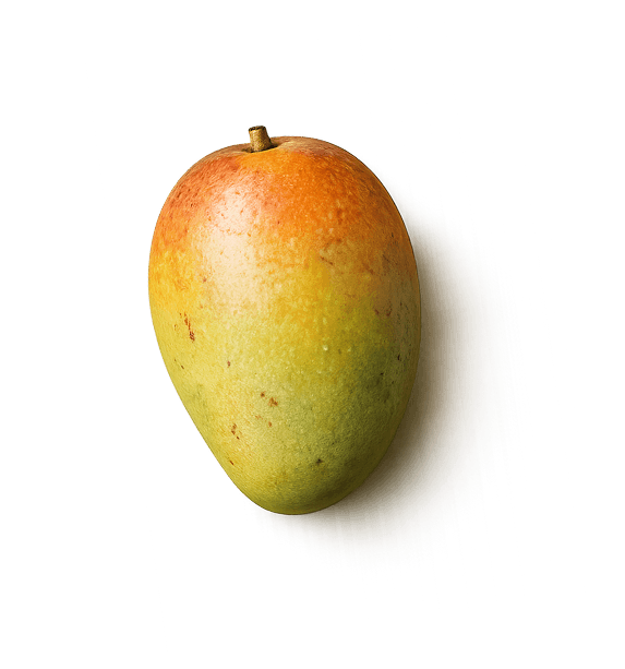 Buy Alphonso Mangoes Online | Ratnagiri Hapus Mango | RatnaSwaad Mangoes